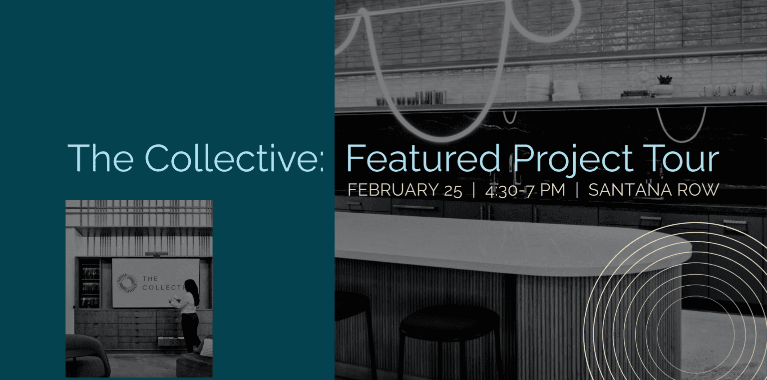 The Collective Project Tour - IIDANC